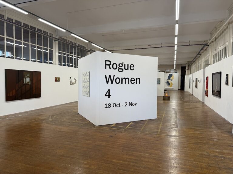 Rogue Artists' Studios CIC – artists' studios & project space